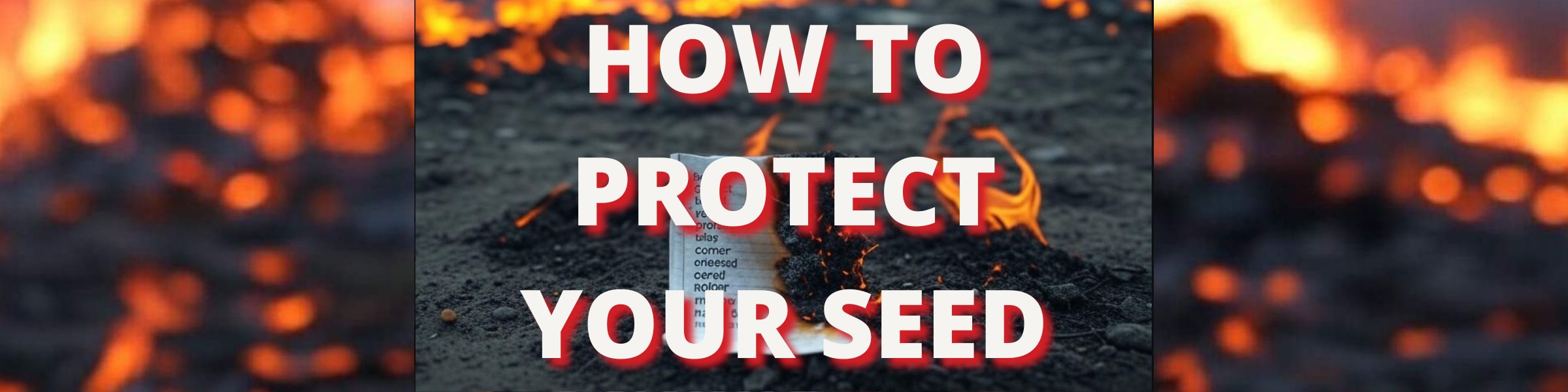 How To Protect Your Seed Phrase For The Long Term – Crypto-Corner